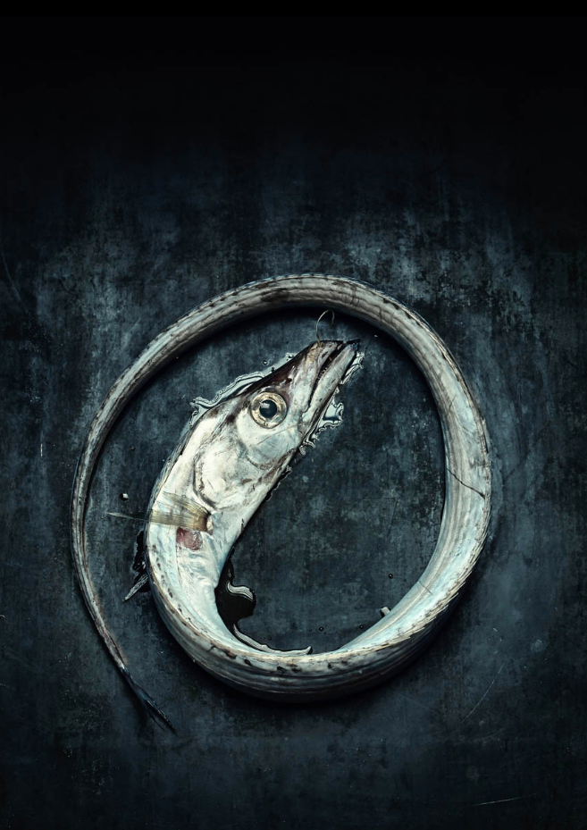 ÉRIC FÉNOT - FHMT PHOTO